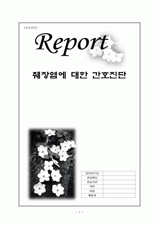 췌장염에 대한 간호진단