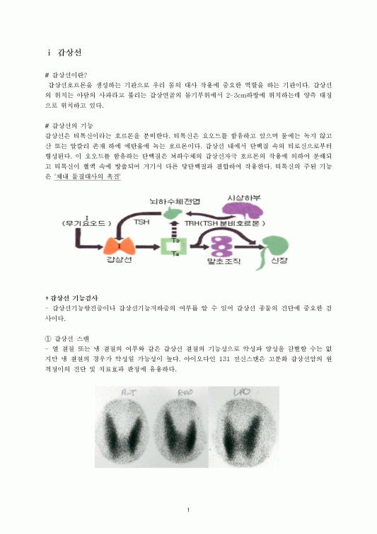 갑상선[갑삼선기능항진증,저하증,감상선염,단순갑상선종,갑상선암]