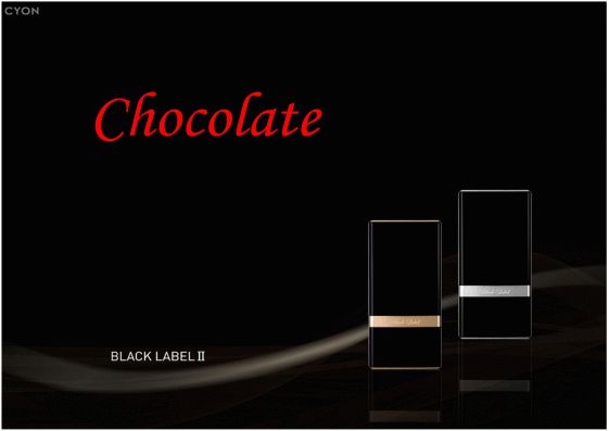 LG전자의 초콜렛폰 마케팅사례분석