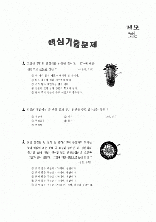 [과외]2.생물 뿌리의구조와 기능