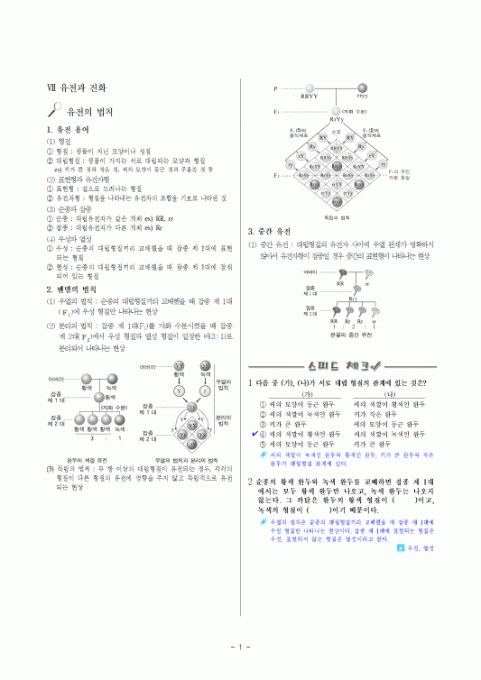 [공학/컴퓨터/통신] [과외]중학 과학 3-2학기 기말 01 유전과 진화(교사용)