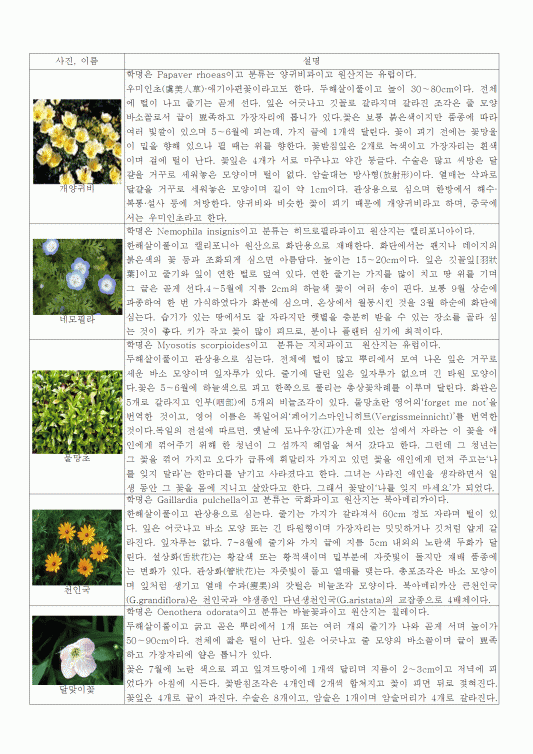 꽃1,2년초화류식물 30가지(사진과 설명)