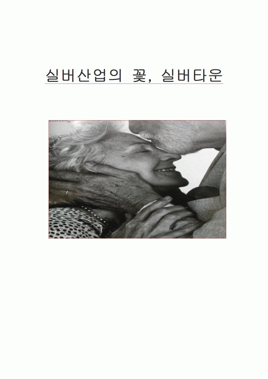 실버산업의 꽃, 실버타운