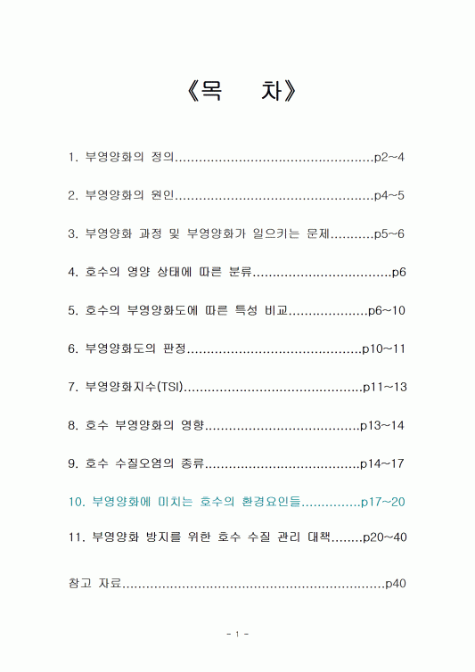 호수의 부영양화/ 수 환경에 끼치는 영향과 방지 및 관리대책