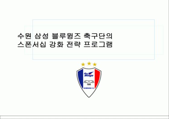 수원 삼성 블루윙즈 축구단의 스폰서십 강화 전략 프로그램