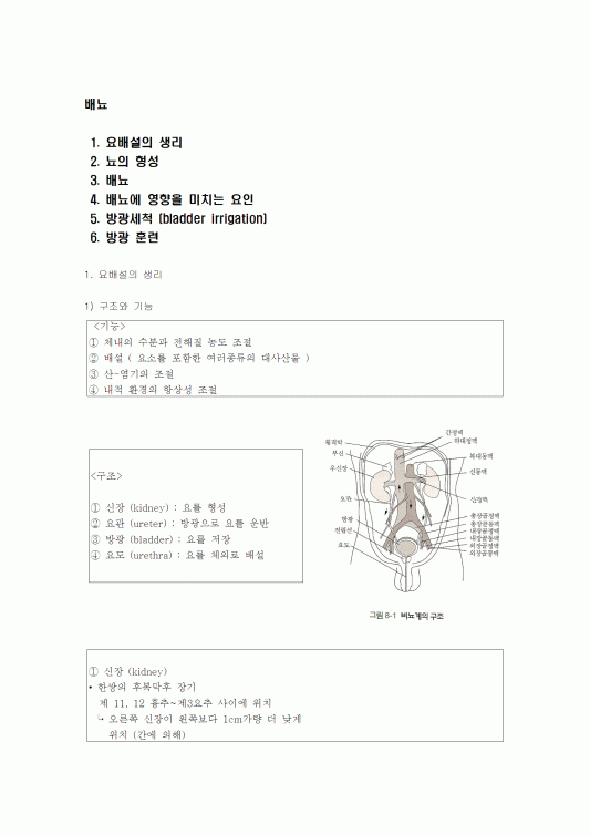 배뇨기전_방광세척_방광훈련