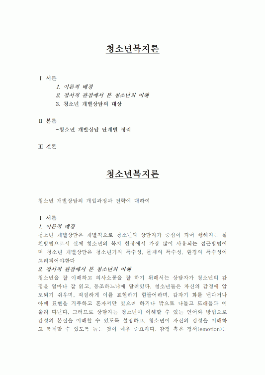 [사회복지] 청소년복지론 - 개별상담의 단계, 배경, 대상상대등 정리