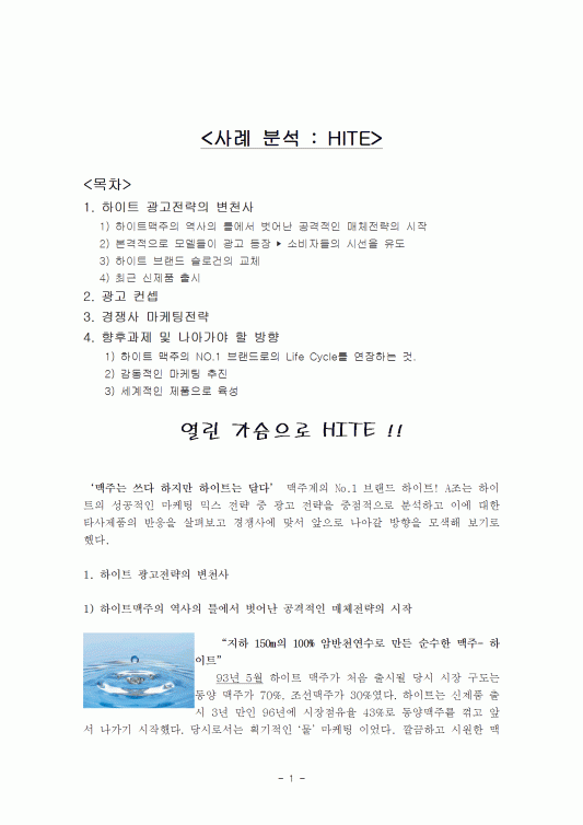 [마케팅] 하이트(HITE) 맥주 마케팅 성공요인 분석