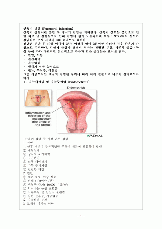 산욕기 감염 (Puerperal infection)