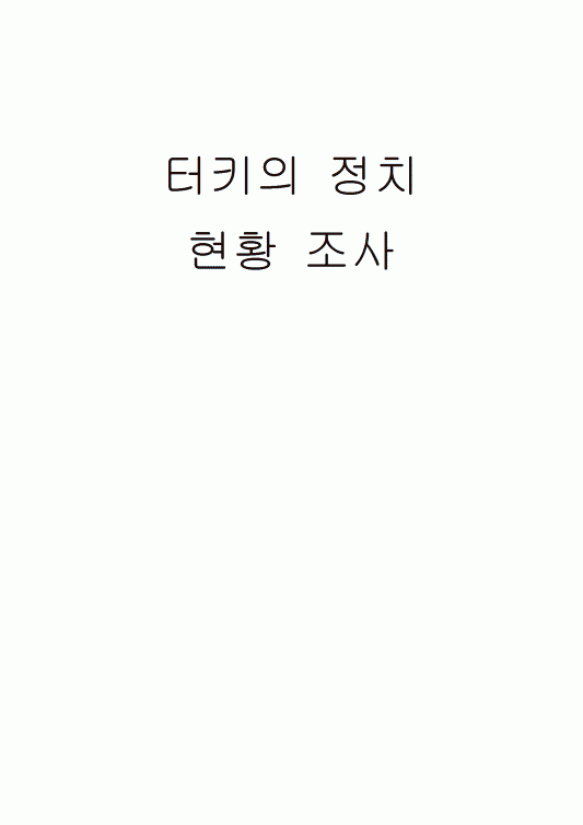 터키의 정치현황 조사