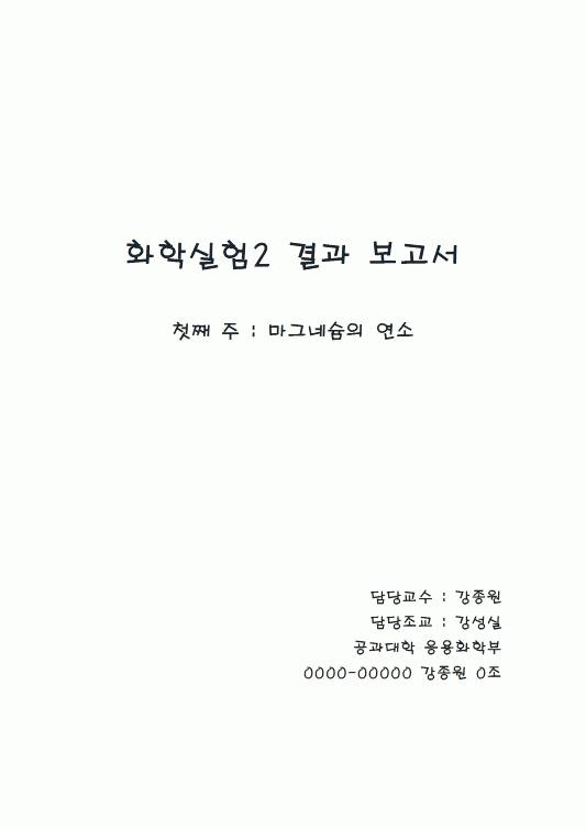 화학실험 [마그네슘의 연소]