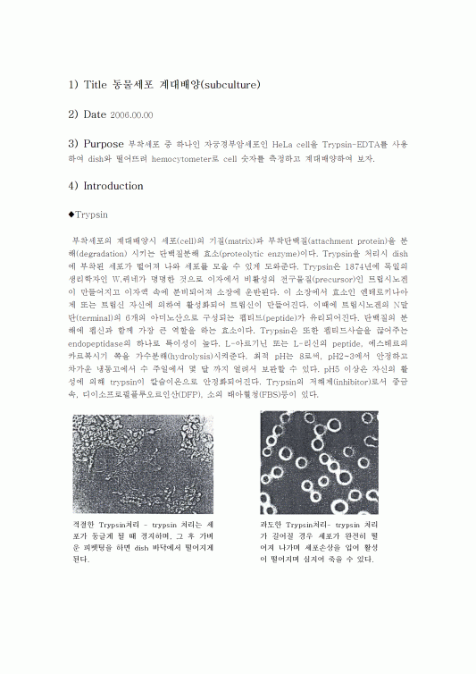 동물세포 계대배양(subculture)