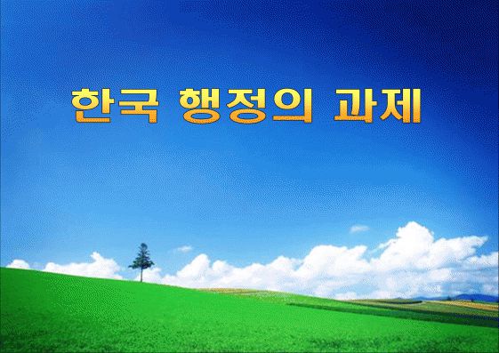 한국 행정의 특징과 현황 향후과제분석