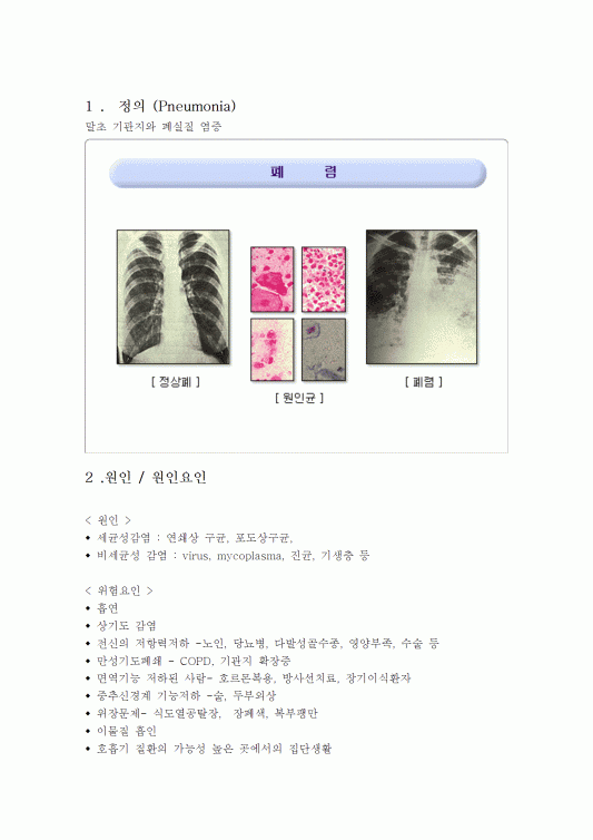 [논문] 폐렴(pneumonia)