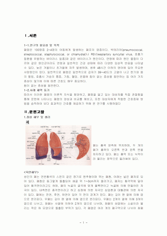 [논문] 폐렴 케이스스터디