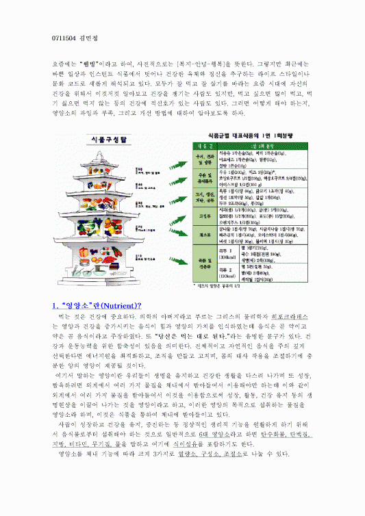 영양소의 과잉과 부족증에 대한 레포트