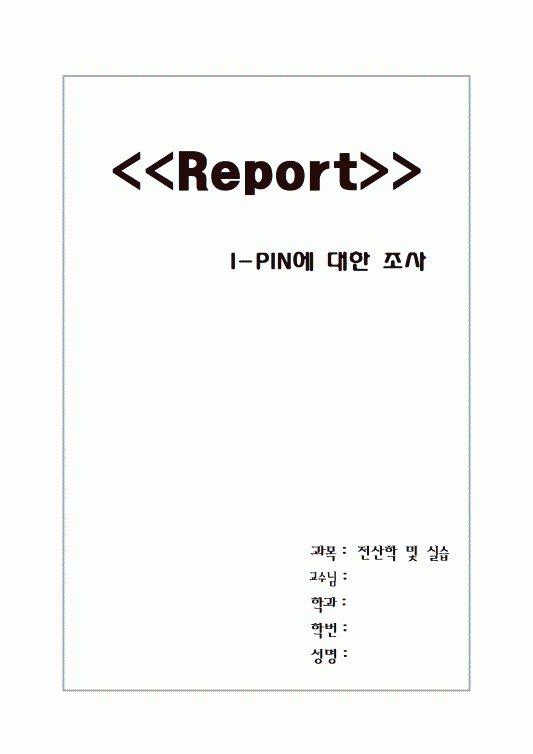 I-PIN에 대한 레포트