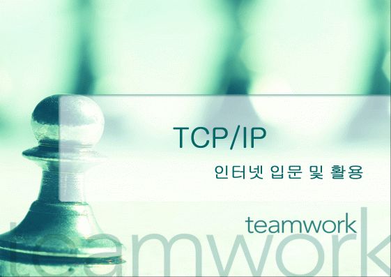 TCP/IP인터넷 입문 및 활용