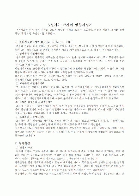 정자와 난자의 형성 (생식세포 형성 과정)