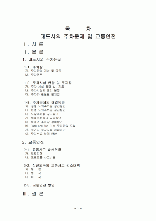 대도시의 주차문제 및 교통안전