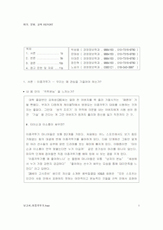 이종격투기