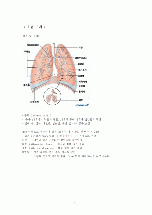[논문] 호흡기계 정리