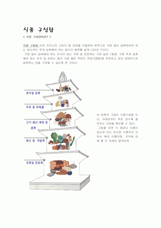 식품구성탑과 영양소