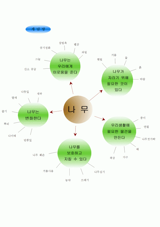 나무 프로젝트(개념망,활동망,브레인스토밍,주간교육계획안,일일활동계획안,활동의개요)