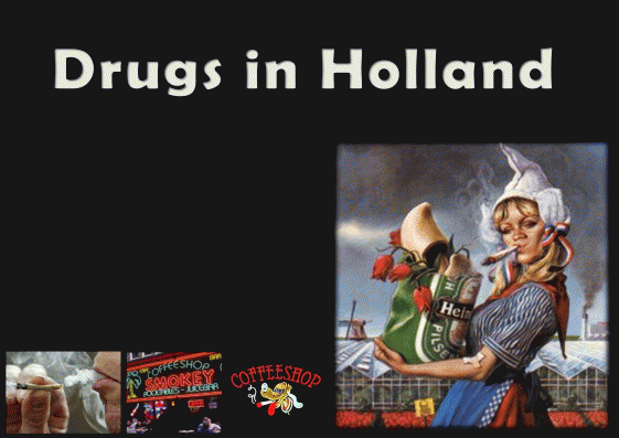 네덜란드 마약정책과 영향