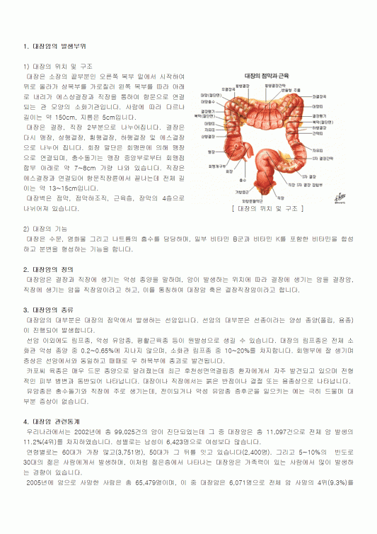 대장암 (colorectal cancer) 내용 정리