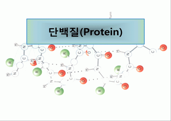 [생물]단백질에 대해서...