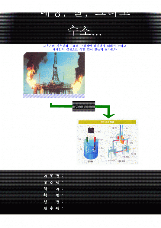 레포트_환경(고유가와 기후변화 시대의 근원적인 해결책레포트)