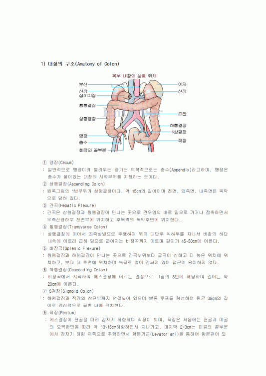 대장암의 수술 방법과 종류 및 간호