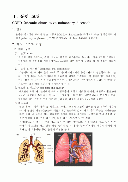 COPD 케이스 COPD 문헌고찰 성인 간호학 호흡기계