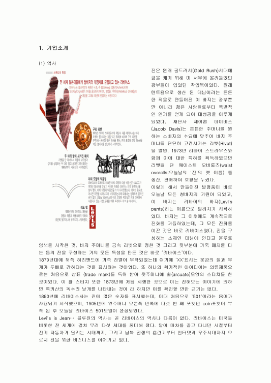 리바이스의 국내시장진출 현지화전략 성공사례