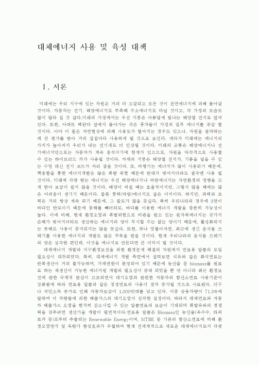 대체에너지 사용 및 육성 대책