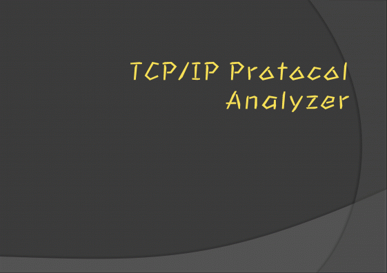 TCP/IP Protocol Analyzer (Ethernet)