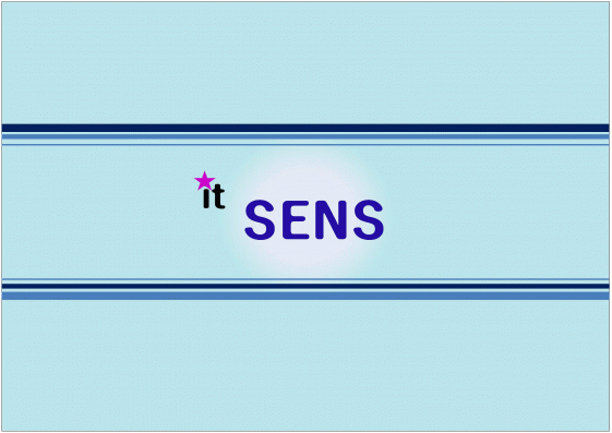 It Sens(센스), 노트북 시장과 기업분석
