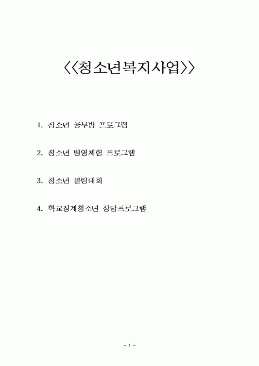 [사회복지] 청소년 사회복지 프로그램계획서