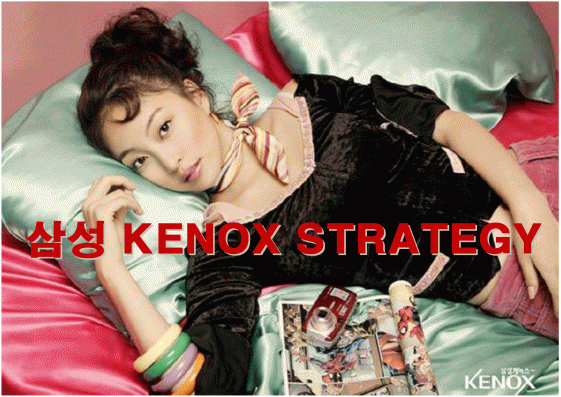 삼성 케녹스(KENOX)의 경영전략분석