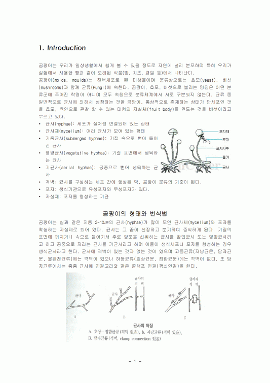 곰팡이의 형태와 번식법