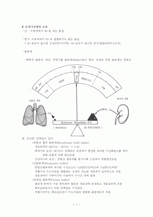 산염기 불균형