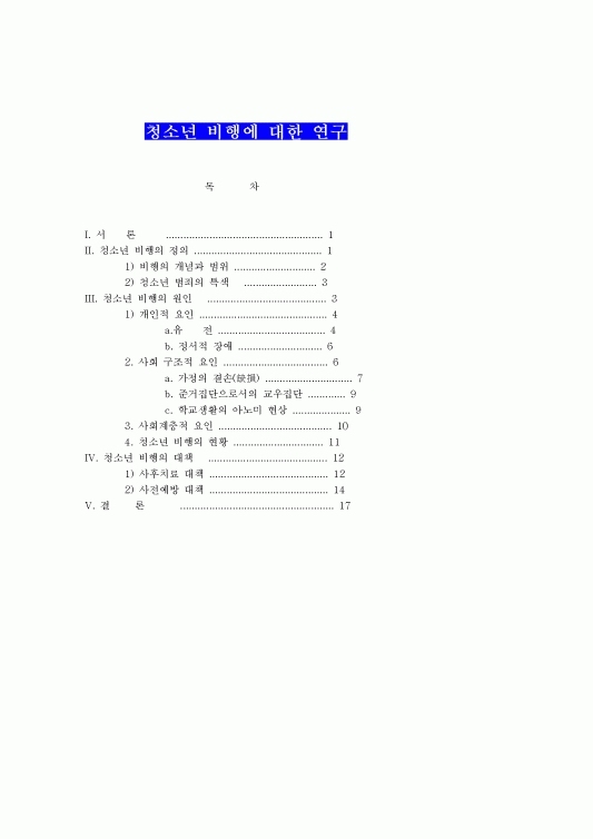 청소년 비행에 대한 연구