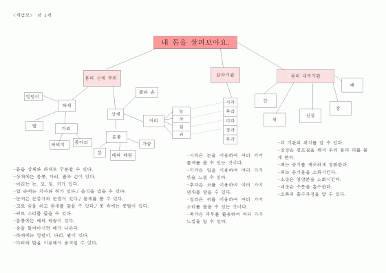 나의몸 개념도 연간교육계획안 일일교육계획안 주간계획안