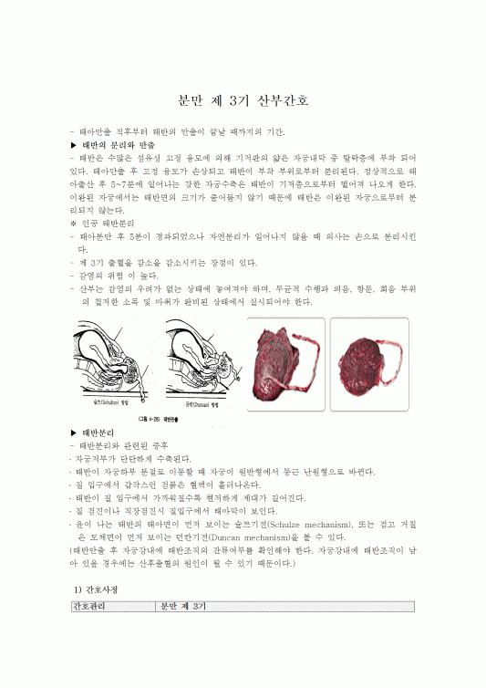 분만 제 3기 산부간호