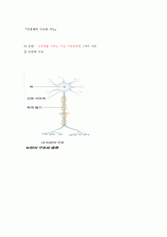 신경계의 구조와 기능 - 뉴런의 종류