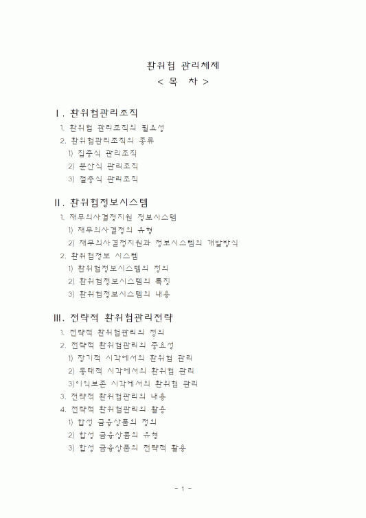 환위험관리체제