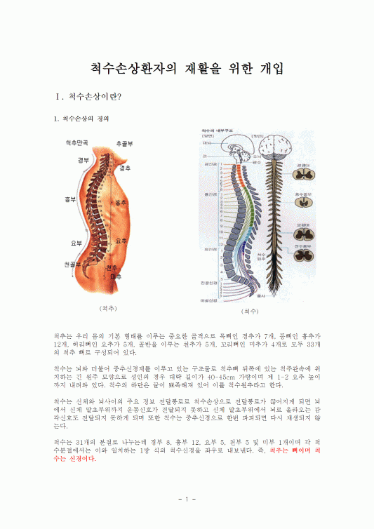 척수손상환자의 재활을 위한 사회복지사의 개입