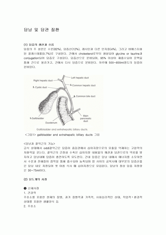 담낭 및 담관질환