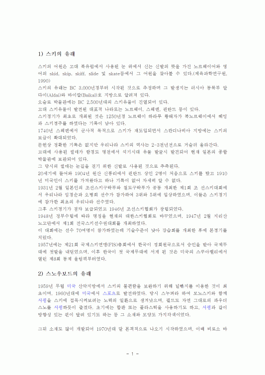 [분석/조사] 스키의 유래와 역사